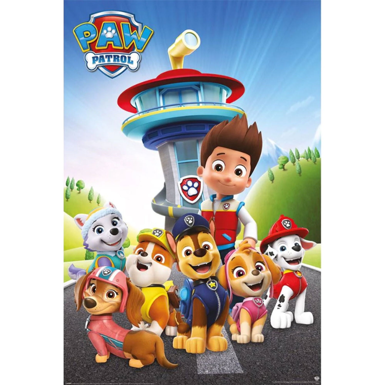 Click here for Paw Patrol Ready For Action Poster One Size prices