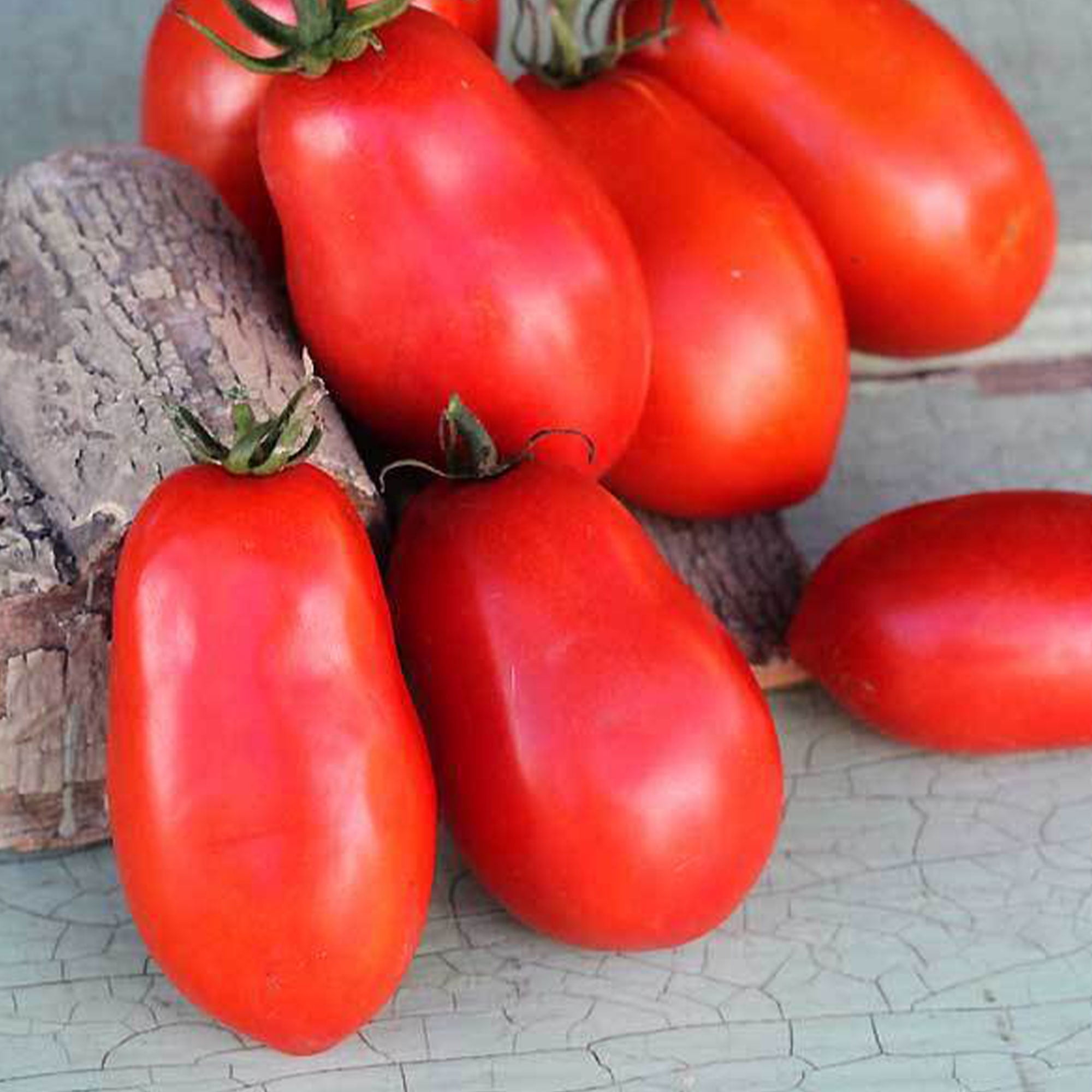 Organic Hungarian Paste Tomato Seeds ~25 Seeds - Organic, Heirloom ...