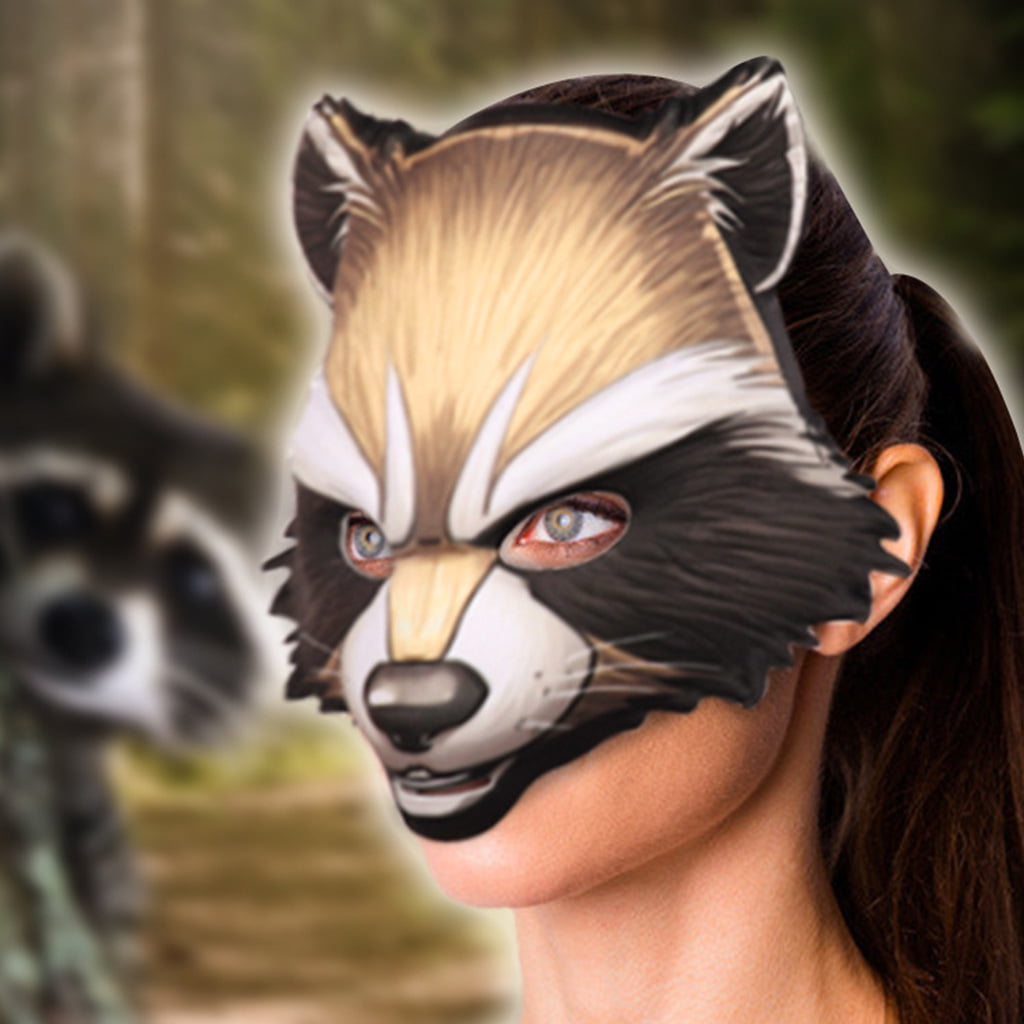 Raccoon Face Paint