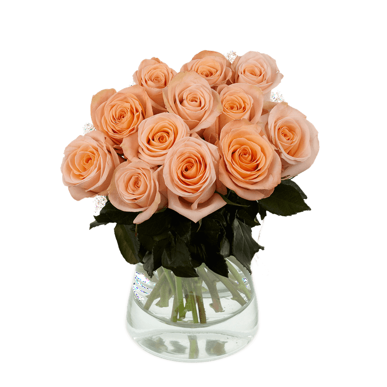 Peach Orange Roses