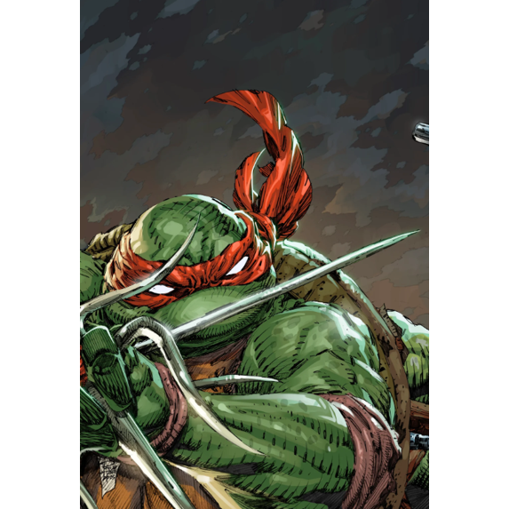 Teenage Mutant Ninja Turtles 9 Philip Tan Variant A Virgin LTD 600 ...
