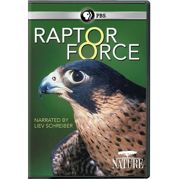 Nature: Raptor Force (2016) (DVD) - Walmart.com - Walmart.com