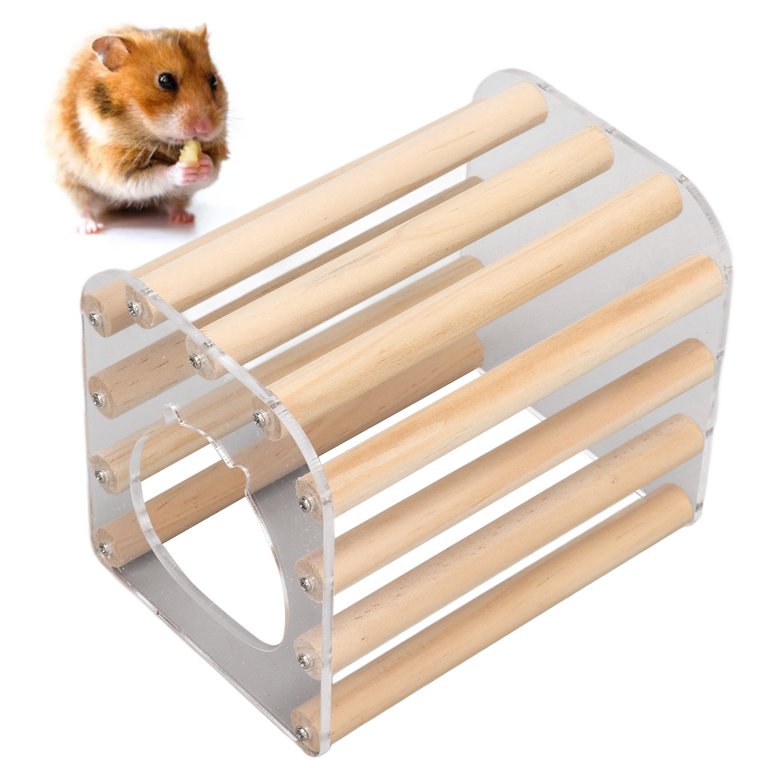 Hamster House Design