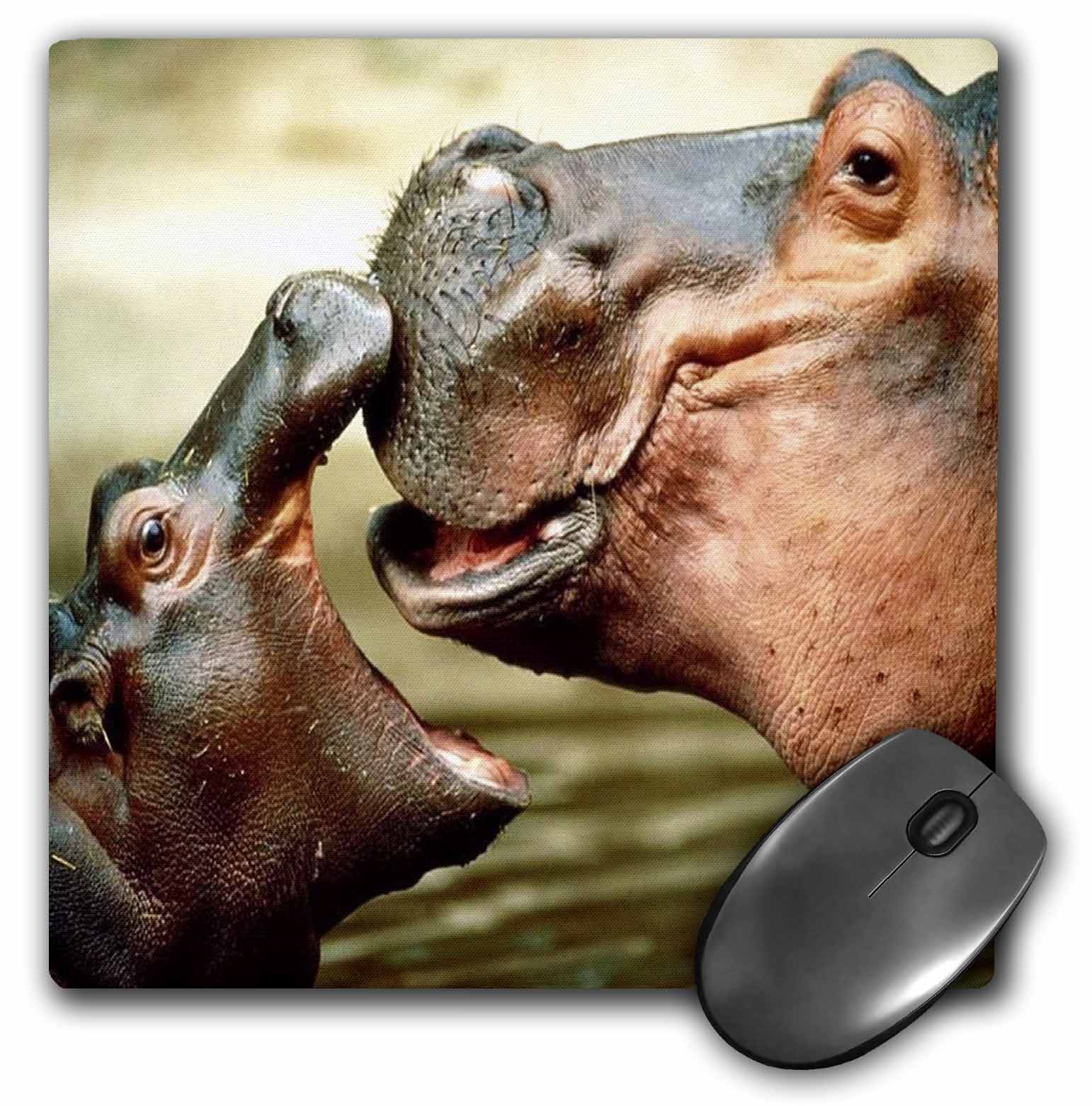 3dRose Mama Hippo Kisses Her Baby, Mouse Pad, 8 by 8 inches - Walmart.com