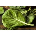 250 Seeds VATES COLLARDS Collard Greens Brassica Oleracea Acephala ...