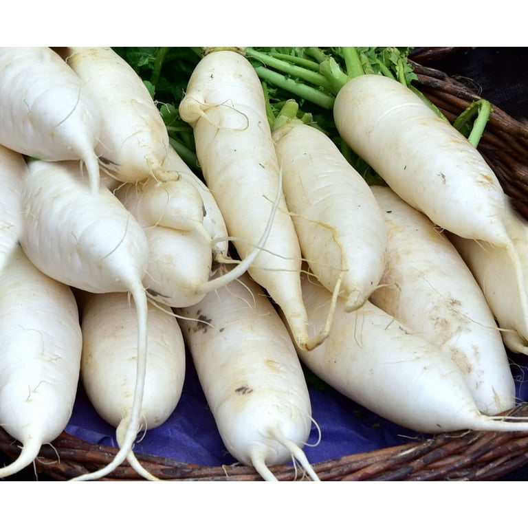 Lunar White Carrot