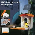 PerchMe Smart Bird Feeder with Camera (Mango Tango Awning), SF-BF-MT01 ...