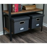 Internet's Best Collapsible File Storage Organizer with Lid ...