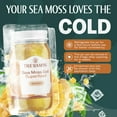 True Sea Moss Organic Irish Sea Moss Gel with Mango, Wildcrafted, 16 fl ...