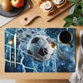 Blue Football Placemats Set of 6 Soccer Ball Water Splash Place Mats ...