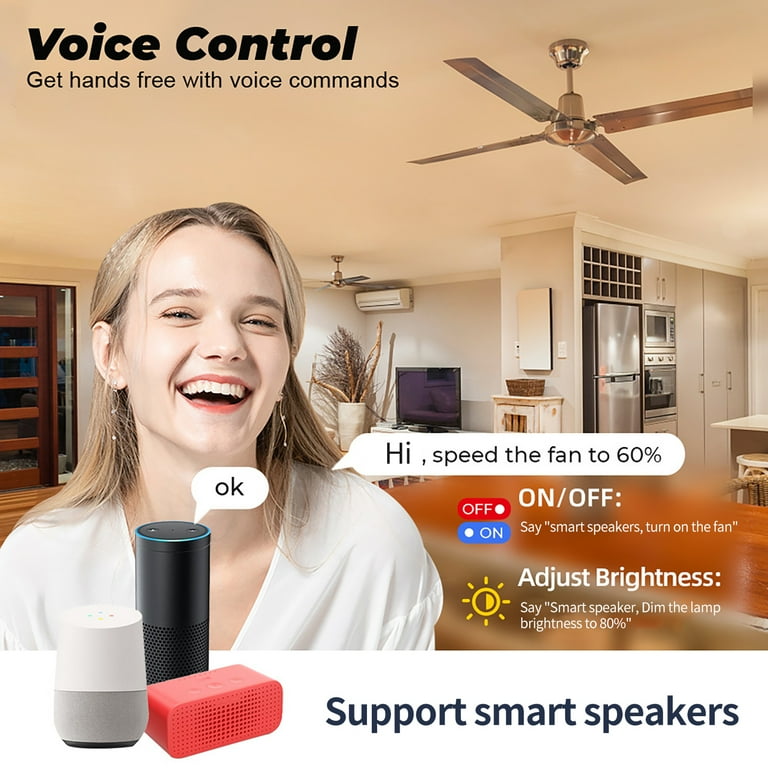 Dual Ceiling Fan Controller | Shelly Lighting