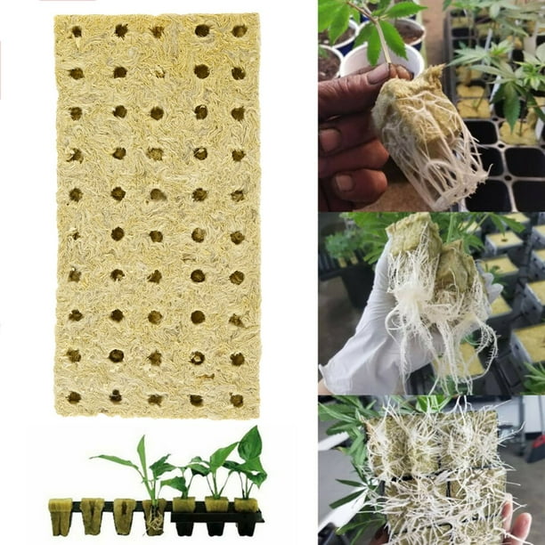 AMERTEER 49/50Pcs Cubes Culture Soilless Hydroponic Rockwool Tray ...