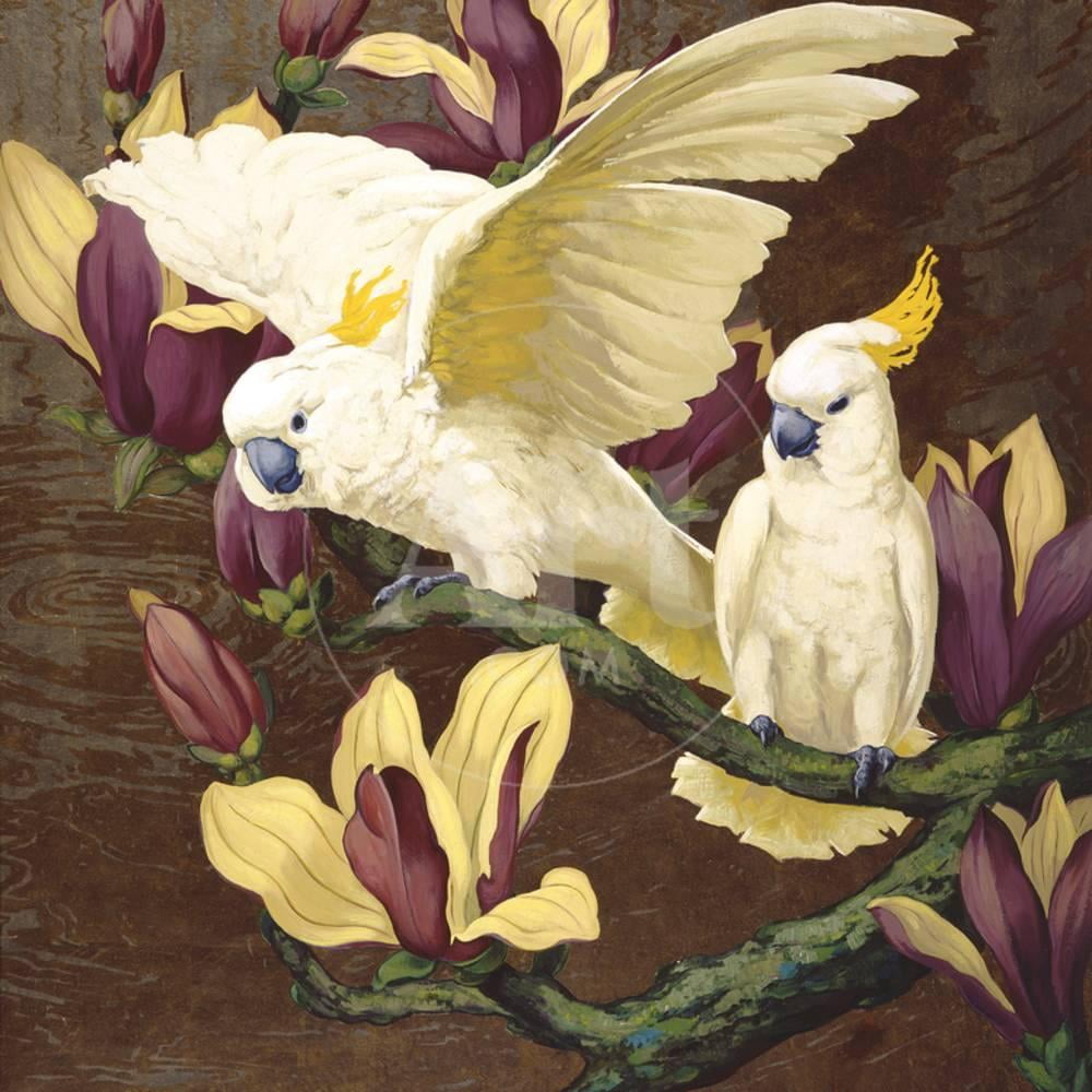 Cockatoos on Copa De Oro, Animals Botanical Unframed Art Print Wall Art ...