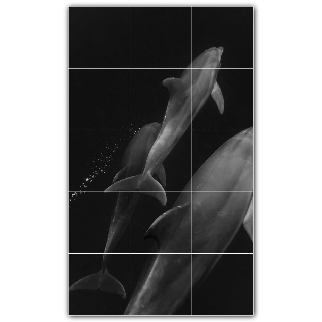 Picture-Tiles.com: Dolphin Ceramic Tile Wall Mural WAL500522-35M. 18"W ...