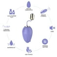 Sex Toy Love Egg Vibrator 9 Vibration Remote Control Female Jump