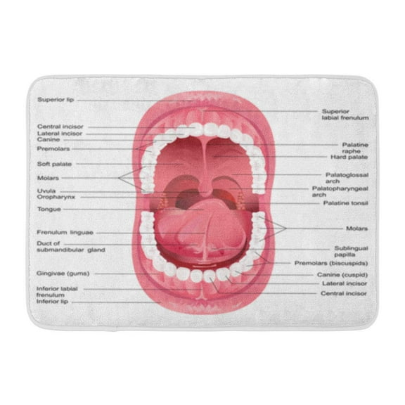 KDAGR Stone Age Hunting for Mammoth Prehistoric Tool Neolithic ...