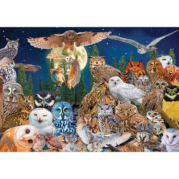 1500 Piece Jigsaw Puzzles