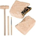 6" Pirate Treasure Chest Excavation Dig Kit - Be an Explorer! Dig ...