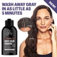No Gray Quick Permanent Hair Color Shampoo, Dark Brown, 8.45 fl oz ...
