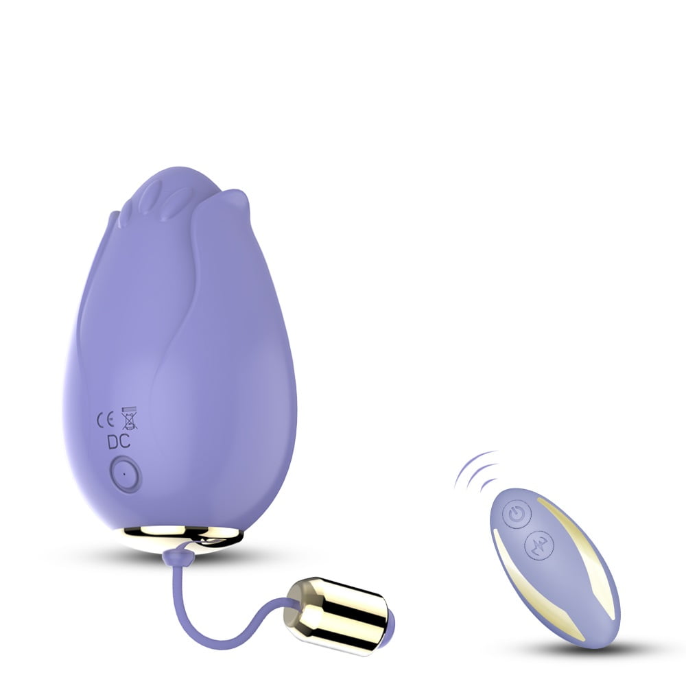 Multi Vibration Modes With Remote Control Nipple Clitoral Stimulator
