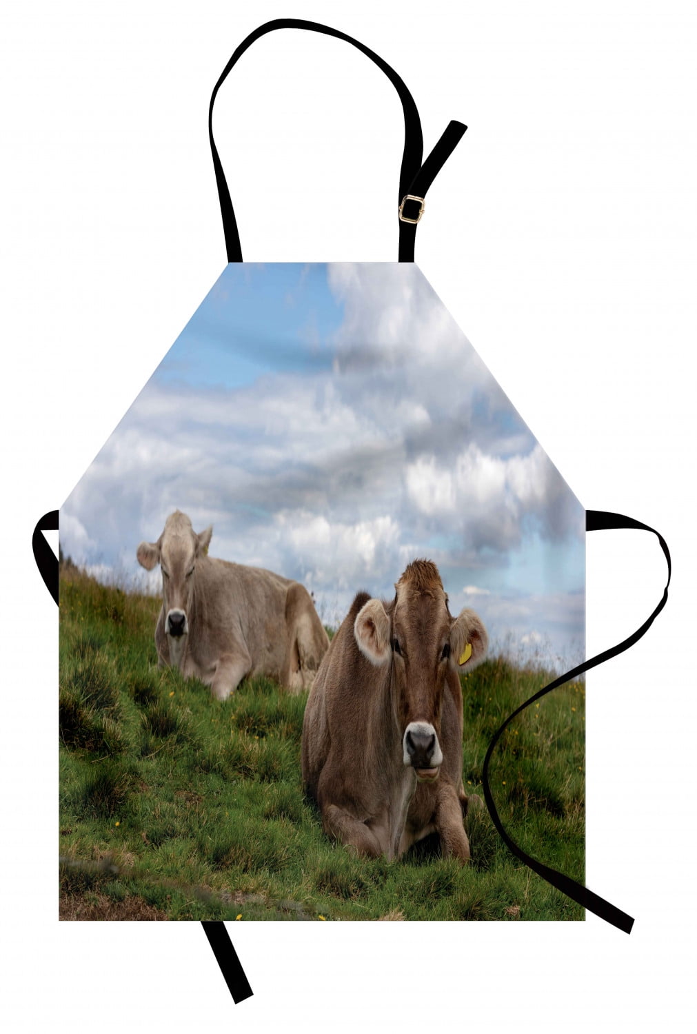 Farm Animal Apron, Agriculture Themed Photo of Resting Cows on Meadow ...