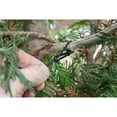 Deer-Terrent Plant Protection Netting, 5.5' x 18', Green Garden Net ...