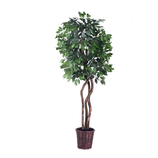 Vickerman 6' Artificial Ficus Heartland in Rattan Basket - Walmart.com