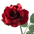 12 Pack: Dark Red Princess Rose by Ashland® - Walmart.com