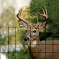 Tenax Deer Fence Select 6-ft x 100-ft Black - Walmart.com