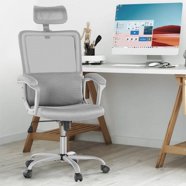 FlexiSpot Ergonomic Mesh Office Chair Swivel Height Adjustable Computer ...