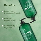 Botanic Hearth Tea Tree Shampoo and Conditioner Set, 100% Pure Tea Tree ...