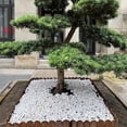20 lbs White Rocks for Landscaping, 2-3 Inch Large River Rocks ...