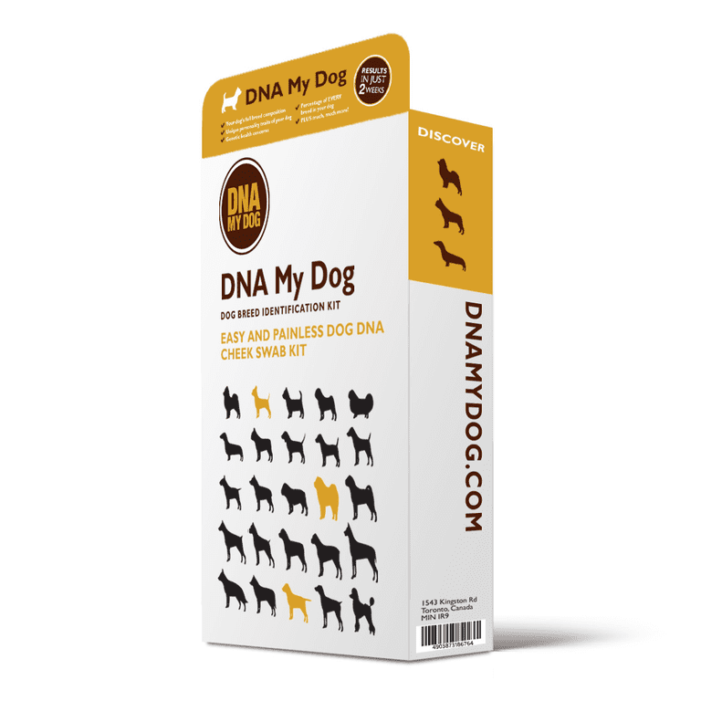 Can I Register My Dog With A Dna Test