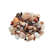 Sea Shell Mixes, Natural - Walmart.com