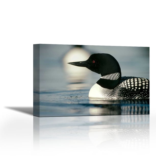 Common Loon Painting