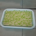 96pcs Hydroponic Sponge Garden Vegetable Soilless Planting Tool ...