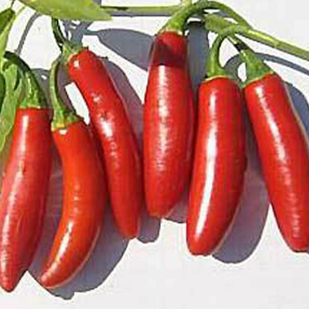 Serrano Tampiqueno Hot Pepper - 250 mg ~30 Seeds - Heirloom, Open ...