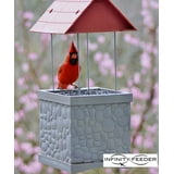 Infinity Bird Feeder - Wild Bird Feeder with 360 Degree View of Feeding ...