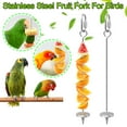 Uhgxa Bird Feeders Bird Food Holder Tainless Steel Parrot Fruit Vegetable Stick Holder Treat