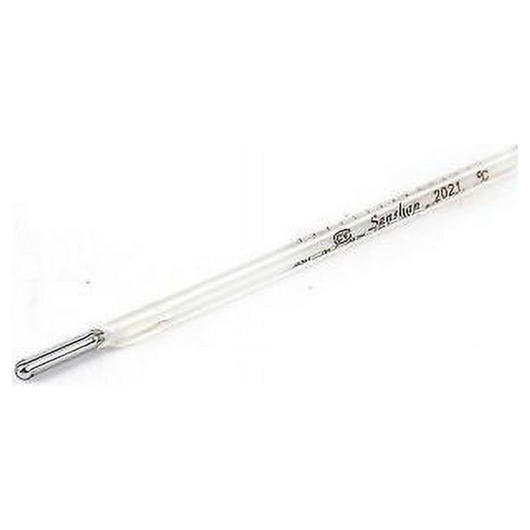 2 Pcs Mercury Thermometer House Clinical Thermometer Oral Axillary Body Temperature