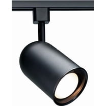 Nuvo Track Head,1L,R20,Bullet Cyl,Black TH209 - Walmart.com