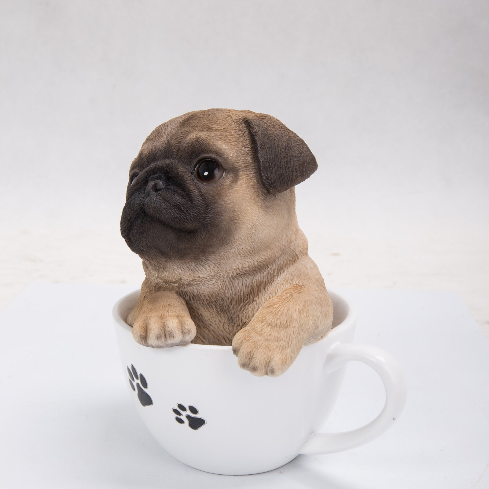 Cute Teacup Pug Puppies