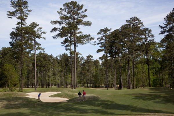 Print: Grand National Golf Course, Part Of The Robert Trent Jones Trail ...