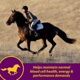 Farnam Red Cell Iron Rich Yucca Flavored Horse Supplement, Vitamin ...