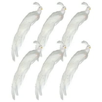 Peacock Feather Picks by Ashland® - Walmart.com