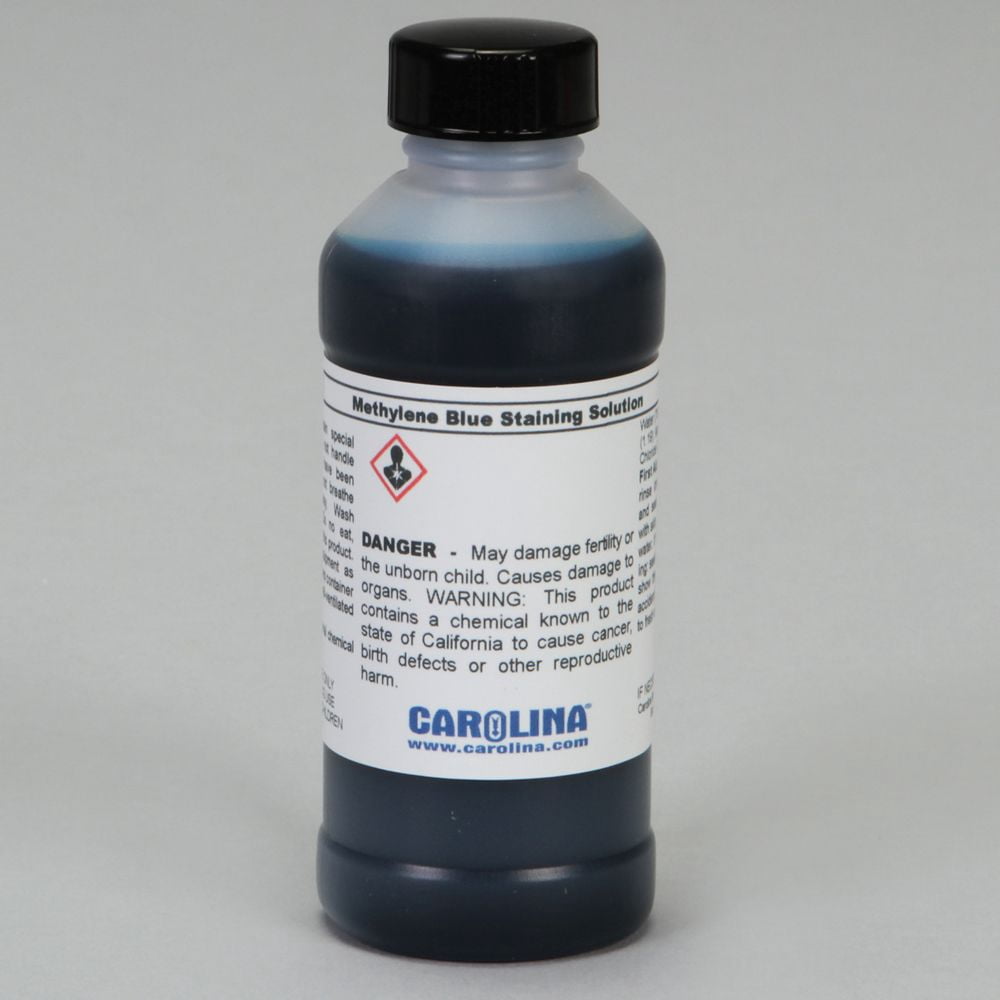 Methylene Blue Staining Solution, 0.2% In 25% Ethanol, Laboratory Grade ...