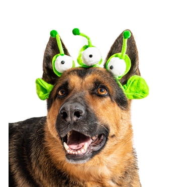TMNT - Michelangelo Pet Costume, Teenage Mutant Ninja Turtles Halloween ...