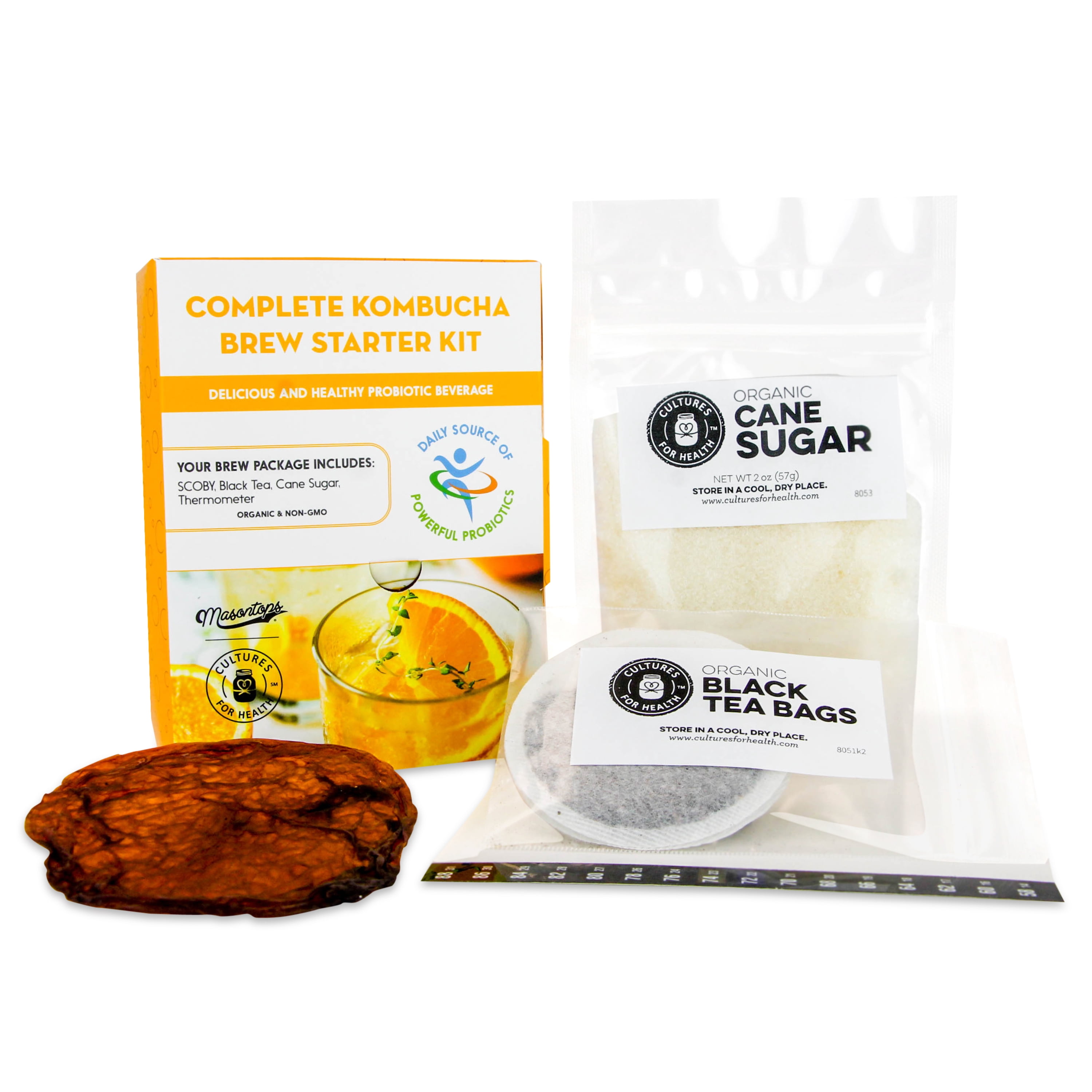 Masontop Kombucha Scoby Activation Pack - Includes Organic Scoby ...