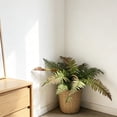 Greenery for Home and Commercial Use Lifelike Persian Fern Silk for ...
