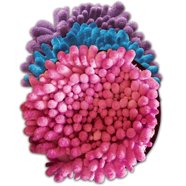 Little Tikes Story Dream Machine Show & Go Storage Case with Exclusive ...